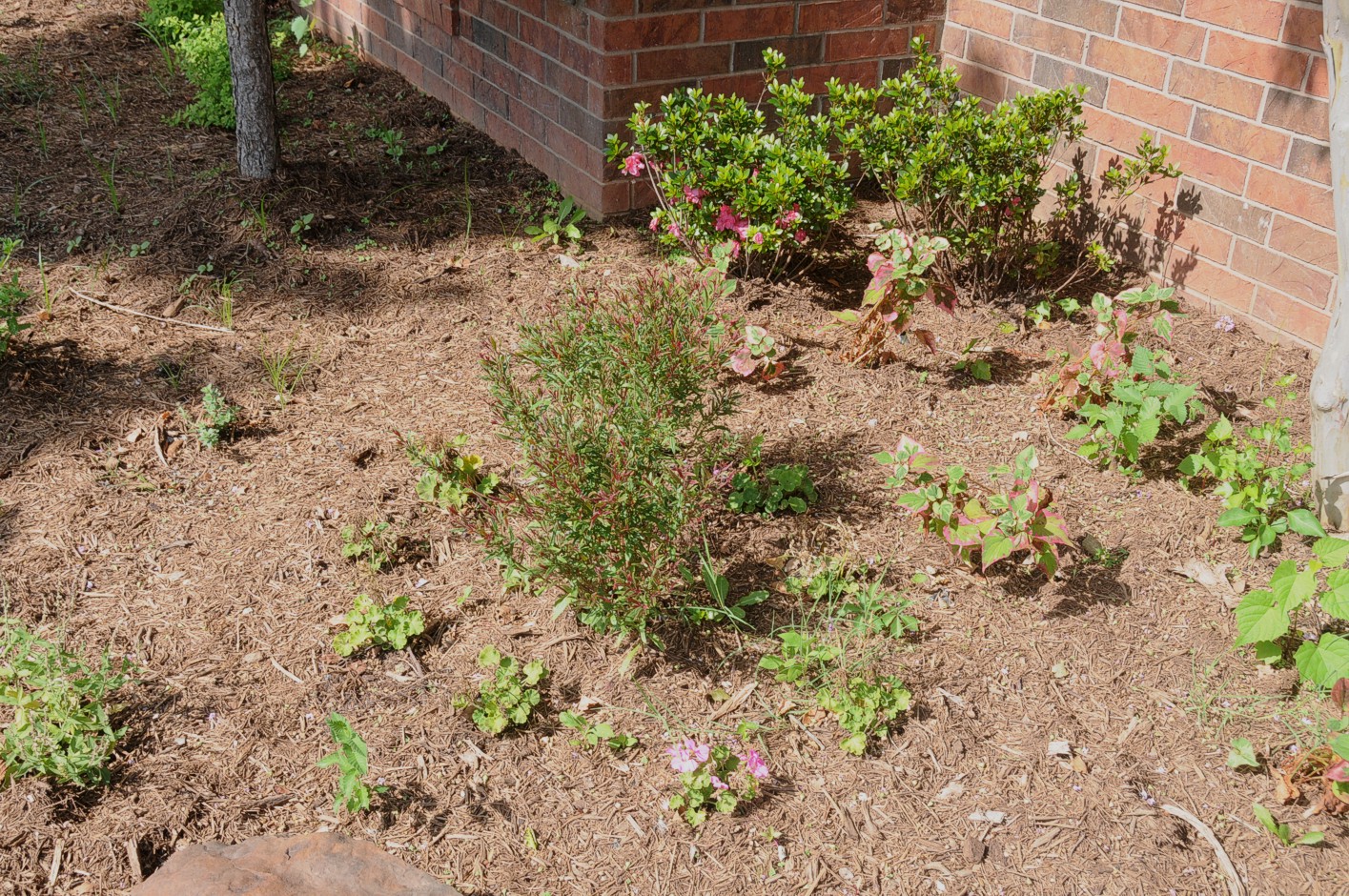 Landscaping « Magsig-blog