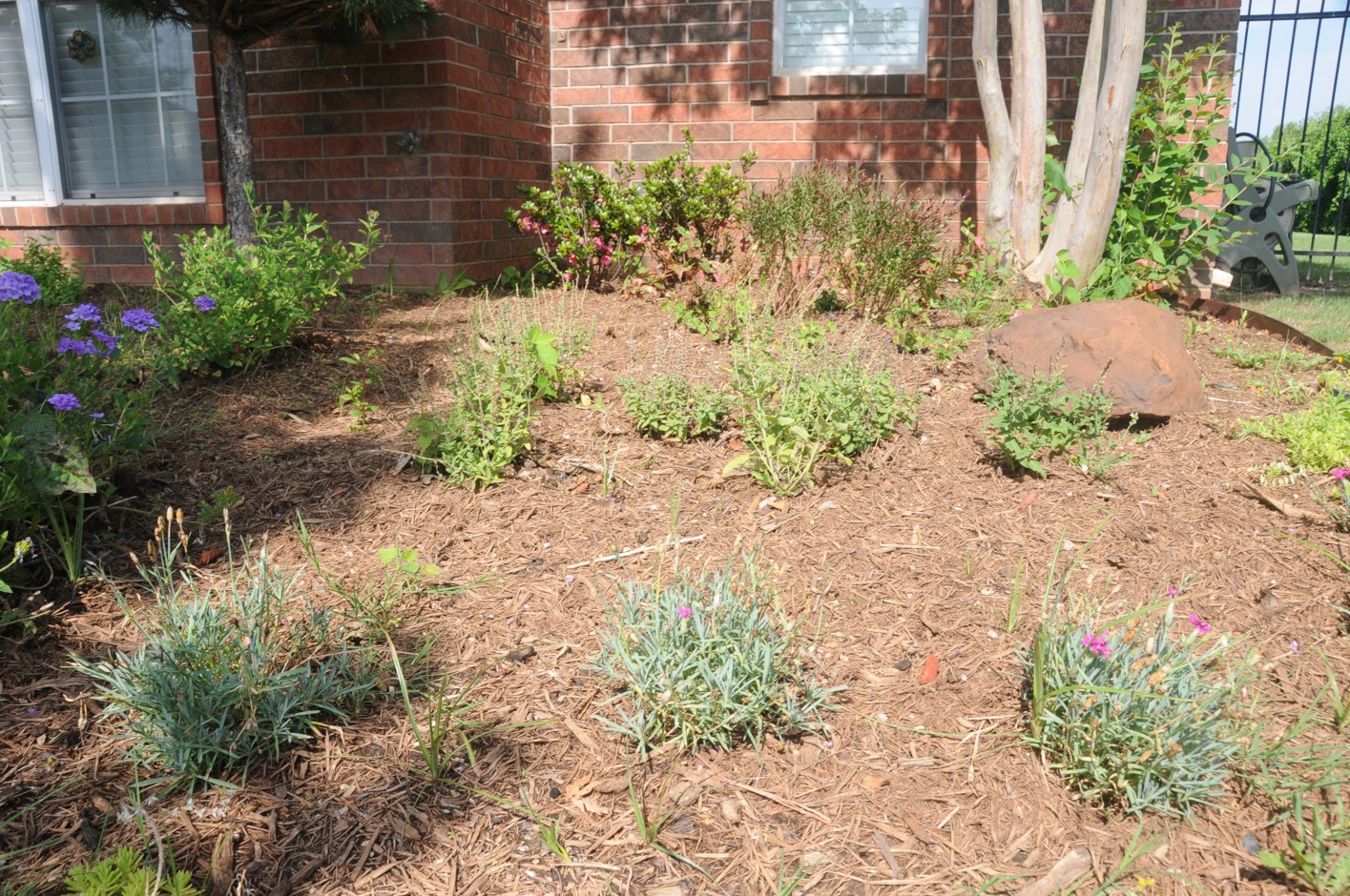 Landscaping « Magsig-blog